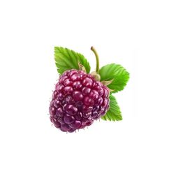 Loganberry Puree Shelf Stable